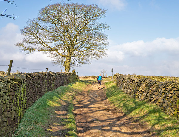 Stage 6 Strines to Marple - GM Ringway