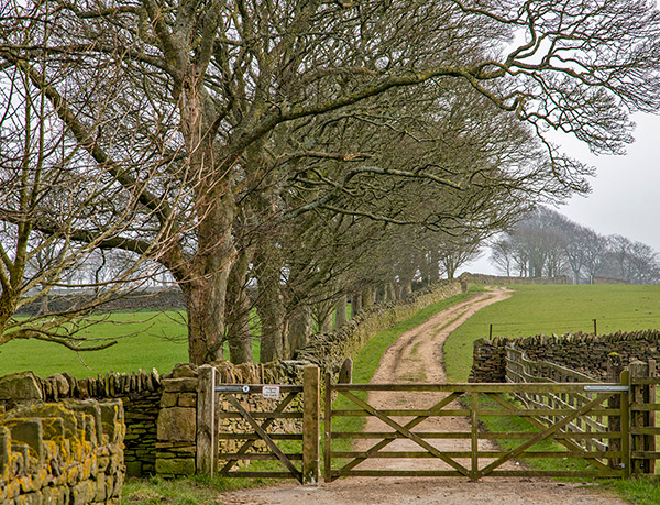 Stage 6 Strines to Marple - GM Ringway