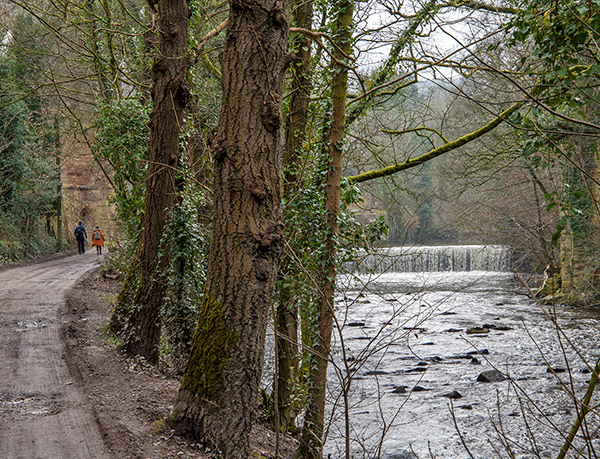 Stage 6 Strines to Marple - GM Ringway