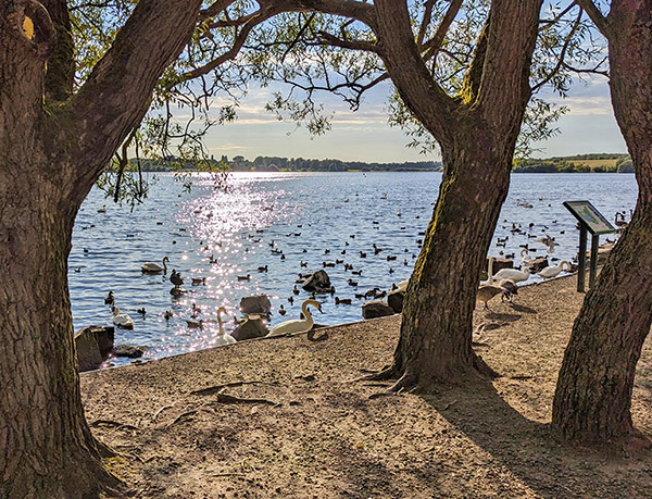 Pennington Flash - GM Ringway