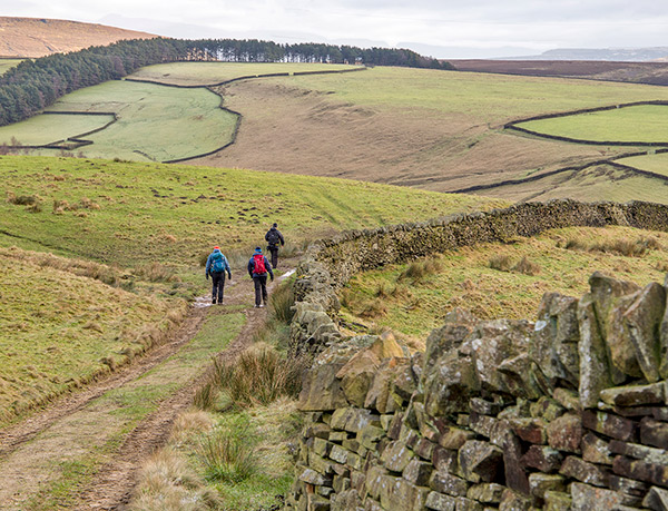 200 miles non-stop for charity, new stage guardians, and our Summertime ...