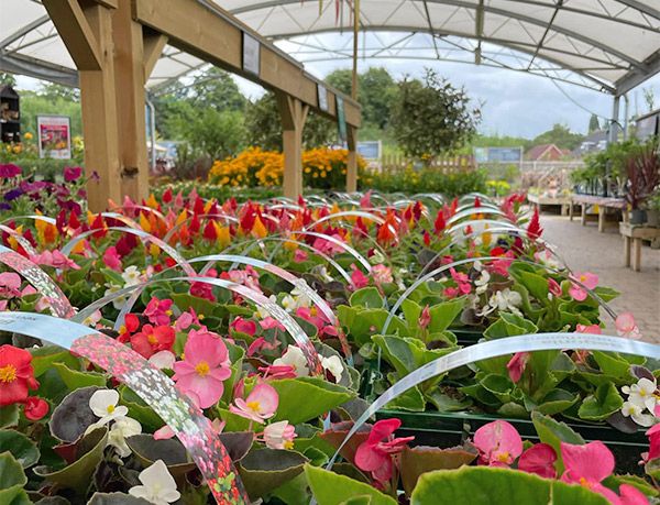 Brookside Garden Centre - GM Ringway