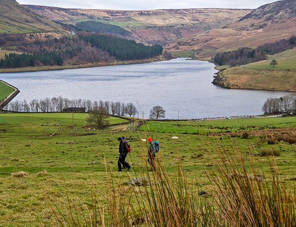 Dove Stone Nature Reserve - GM Ringway