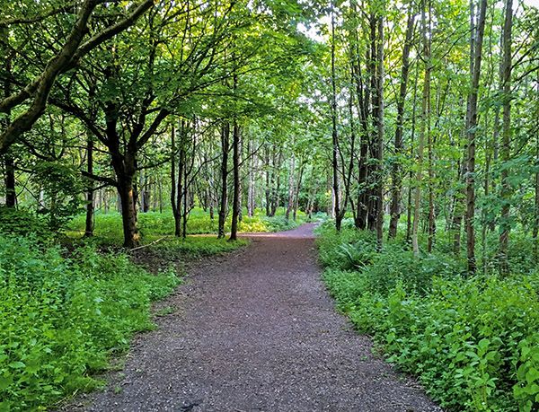 Fletcher Moss Botanical Gardens - GM Ringway